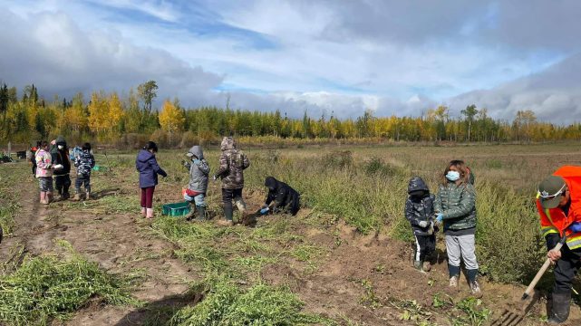 Seeds for Fort Hope - True North Aid | Canadian Charity Supporting ...